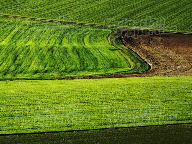 Great demand for agricultural land in Bulgaria. Arable land, farm land ...